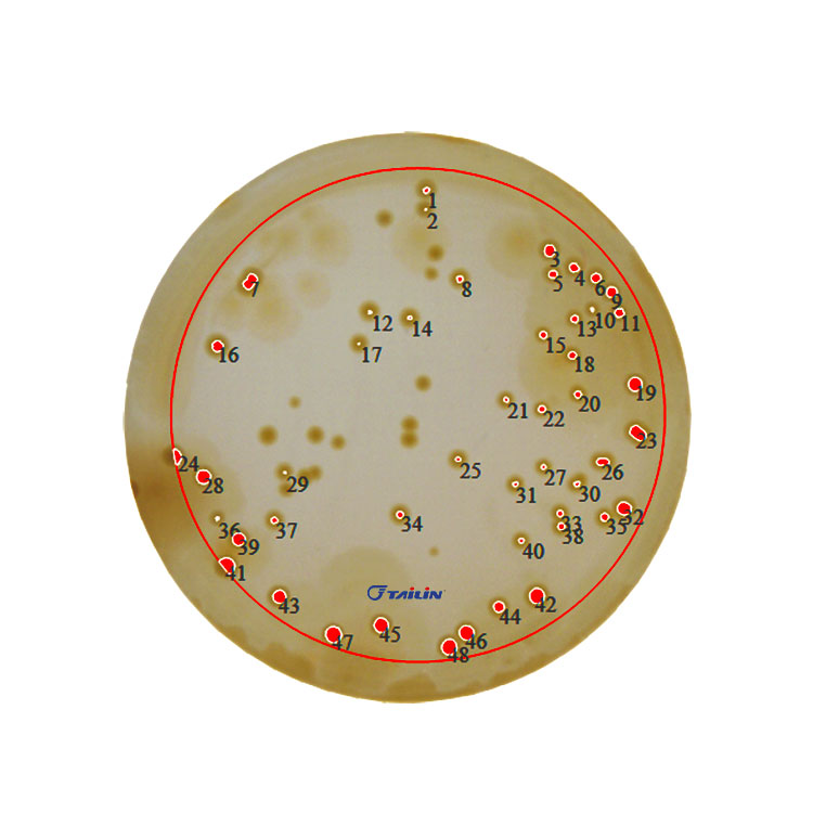 Colony Counter - Monolab Laboratory Systems